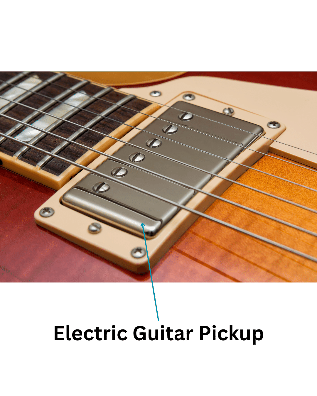 Electric Guitar Anatomy (Detailed, 18-Part Diagram) - Guitarfluence ...